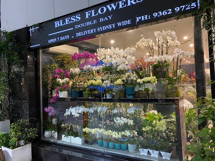 Flowers That Will Brighten Up Your Day - The Best Sydney Florist for F – Bless Flowers