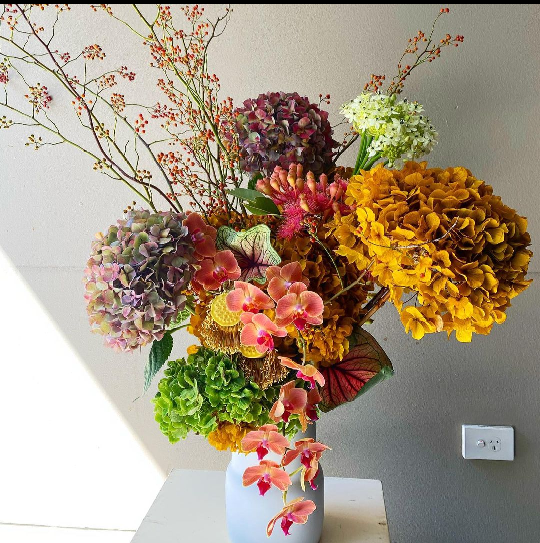 "Unveiling Our New Collection: Discover the Beauty of Spring with Doub ...