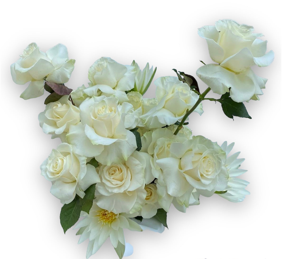 Unlock the Possibilities: Search and Find Your Dream Bouquet at Bless ...