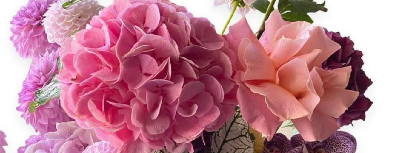 Sydney Florist | Double Bay Florist | Same Day Flower Delivery Shop – Bless Flowers